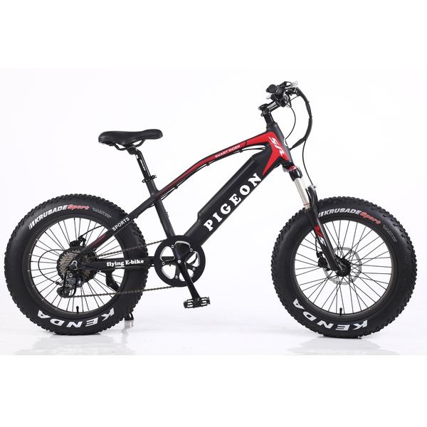 FP-EB2119 (20" electric bike with big wheel) - FLYING PIGEON BIKE ...